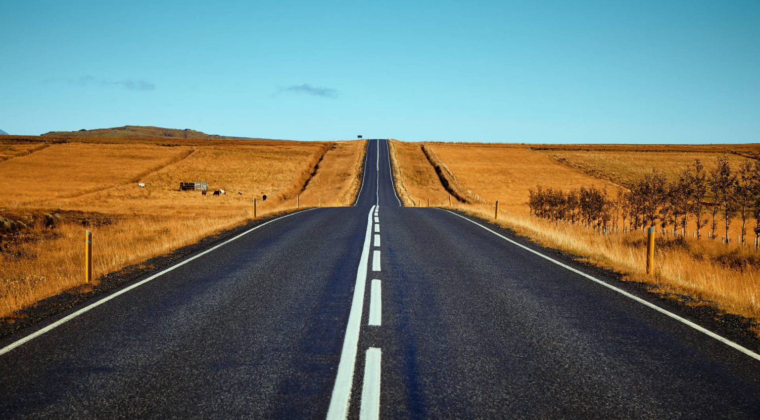 Global B2B Freight & Shipping Solutions | Sea Gate Logistics